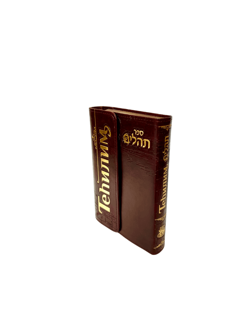 Tehillim with Russian Transliteration and Translation - Compact Edition ...