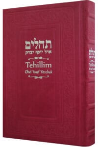 Tehilim, Ohel Yosef Yitzchok - Compact Size - Leather Bound Gift ...