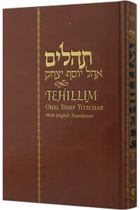 Tehilim, Ohel Yosef Yitzchok - Standard Size - English | Jewish Russian ...