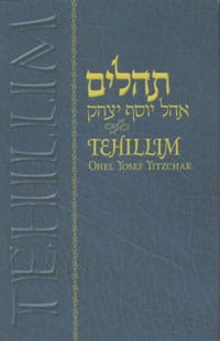 Tehillim Ohel YY with English - Pocket Size | Jewish Russian Book