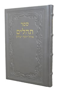Tehillim Large Leather Silver 6 x 9 | Jewish Russian Book