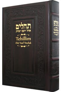 Tehillim with English Cherry Leather 5½ x 8½ | Jewish Russian Book