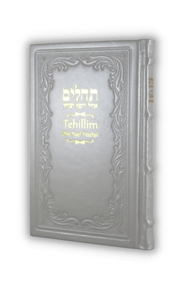 Tehillim with English Silver Leather 5½ x 8½ | Jewish Russian Book